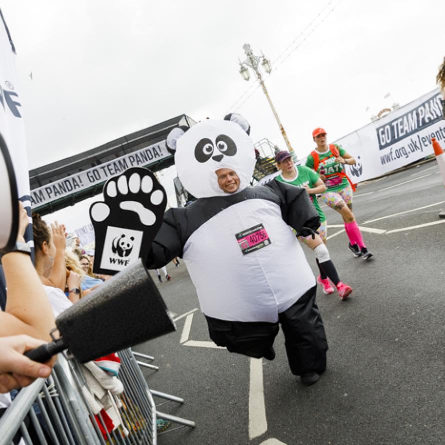 Join the race to save our world | WWF