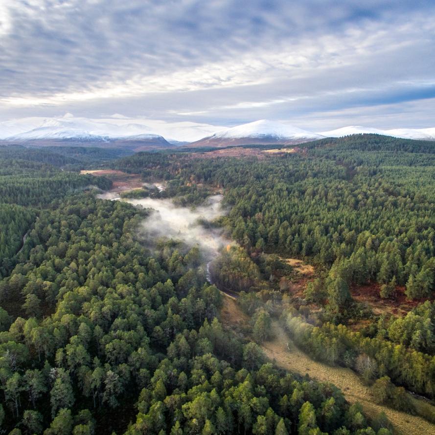 Nature-based Solutions Accelerator Projects | WWF