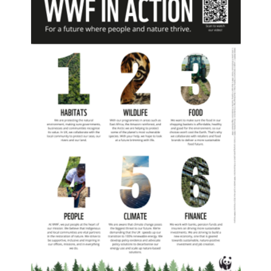 Fundraising at school | WWF