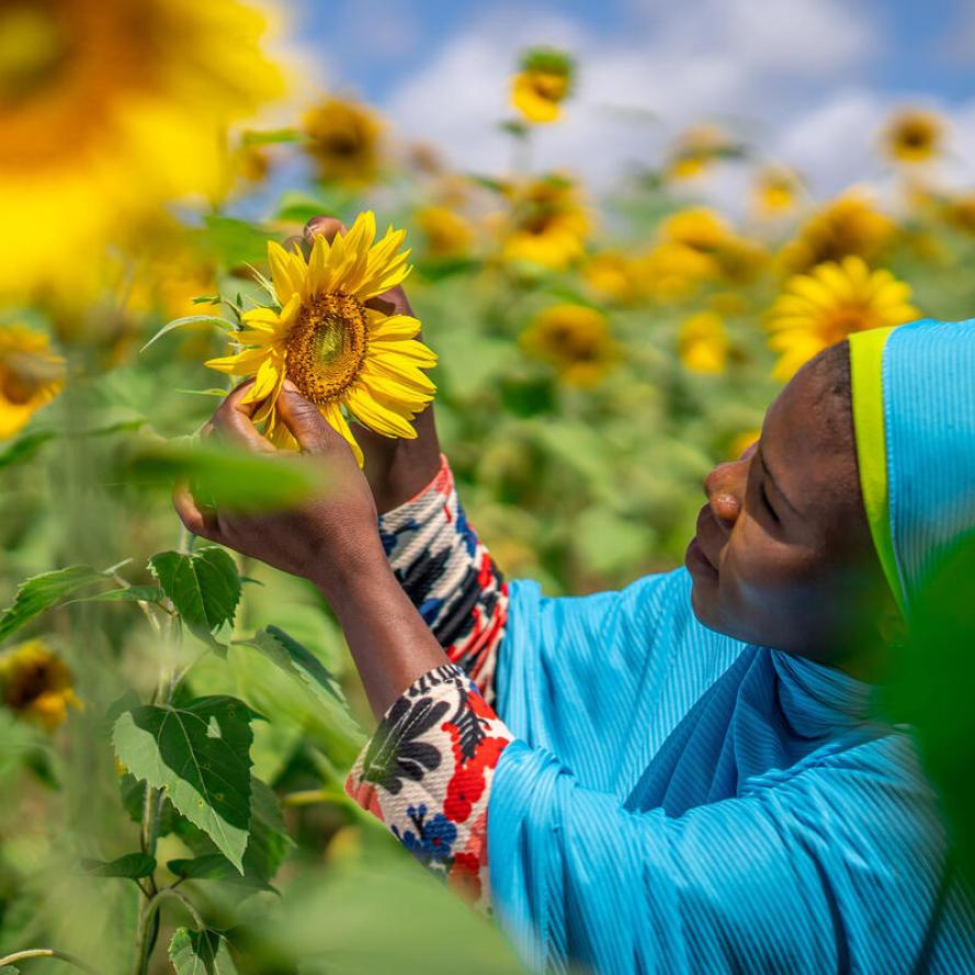 Forest Pathways Report | WWF