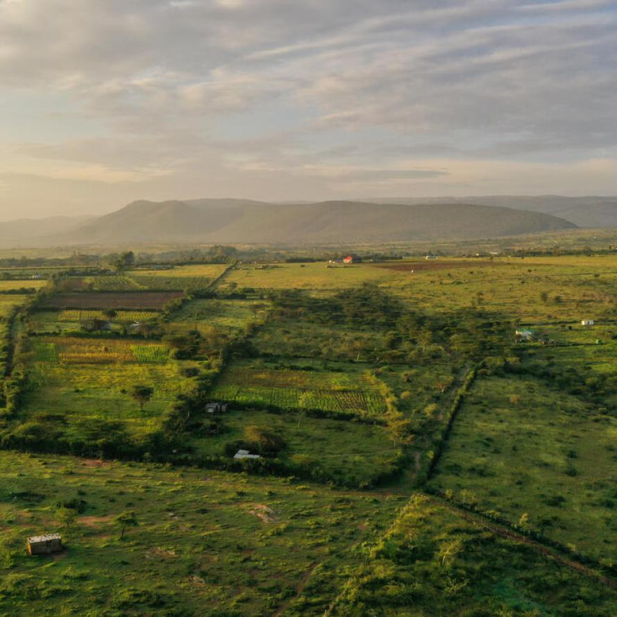 Land for life: providing support in Kenya and Tanzania | WWF