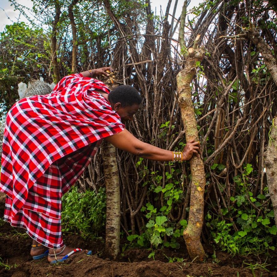 Land for life: providing support in Kenya and Tanzania | WWF