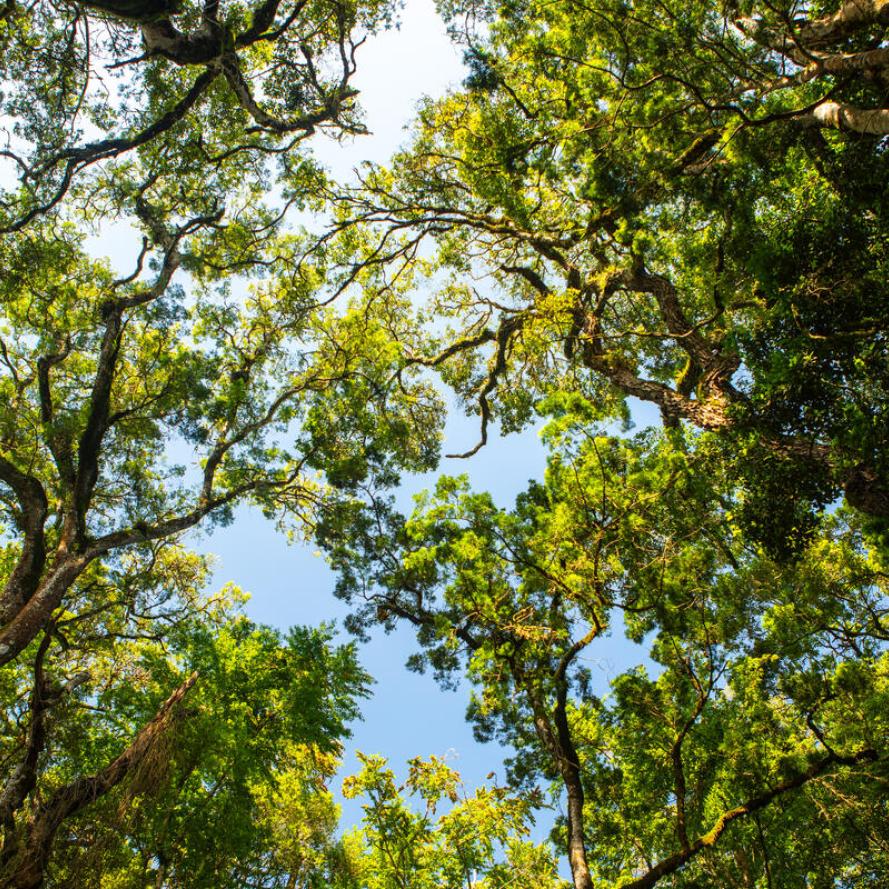 Land for life: providing support in Kenya and Tanzania | WWF