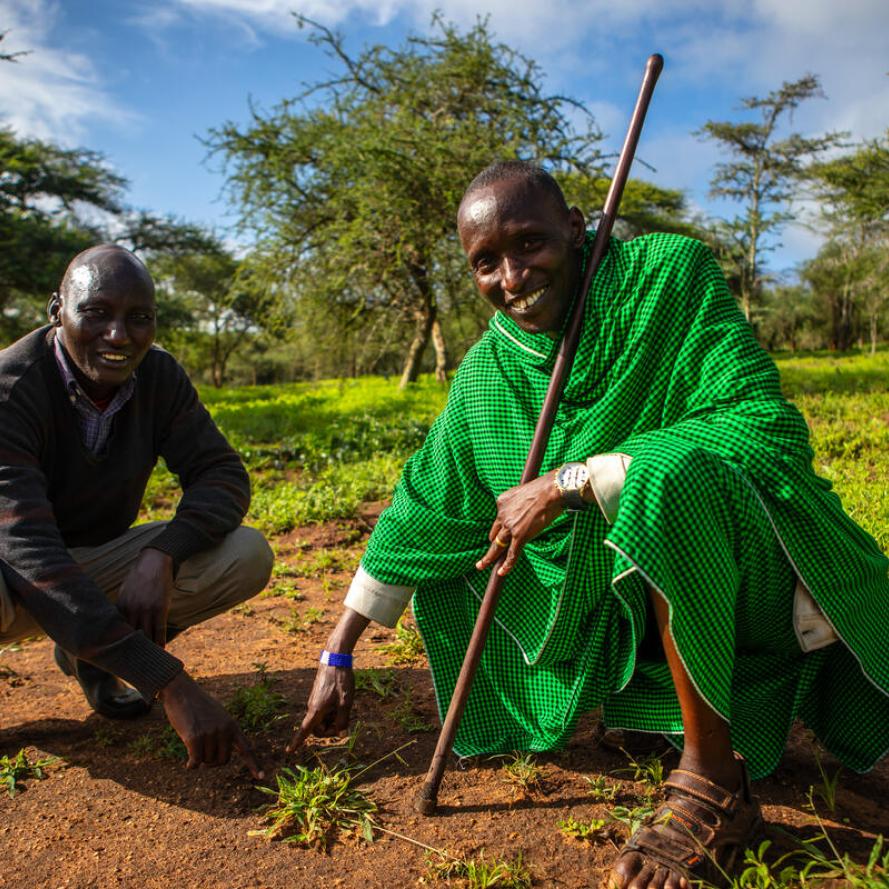 Land for life: providing support in Kenya and Tanzania | WWF