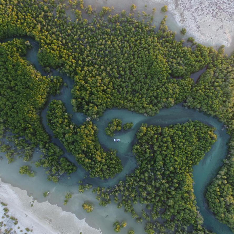 Nature Based Solutions Accelerator | WWF