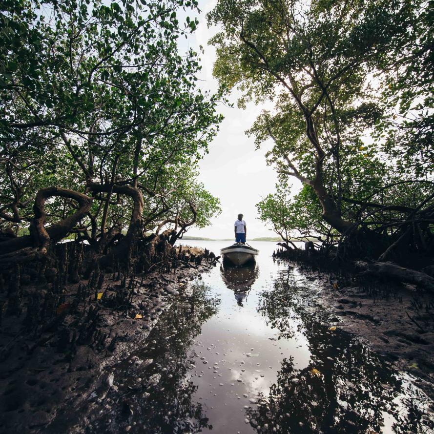 Protecting freshwater ecosystems | WWF