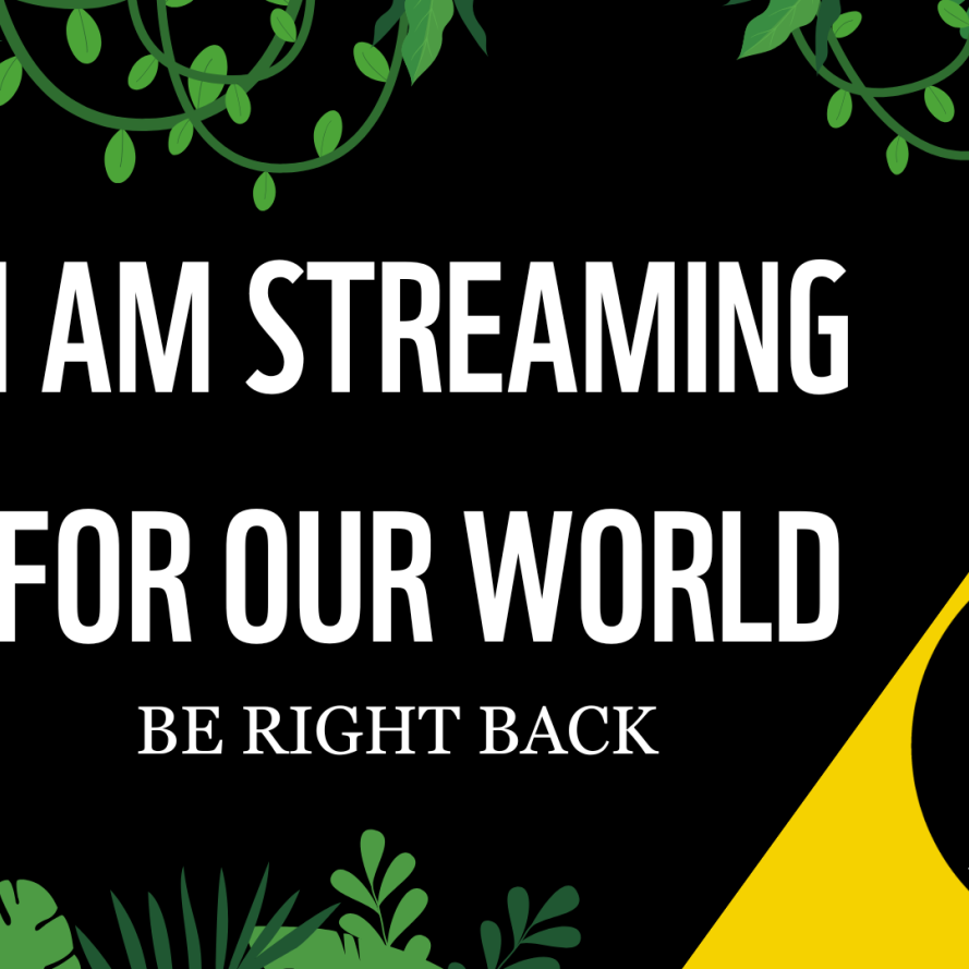 WWF livestream fundraising | WWF