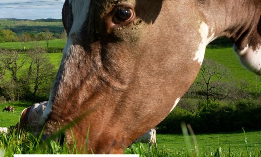 Regenerative Agriculture Wwf
