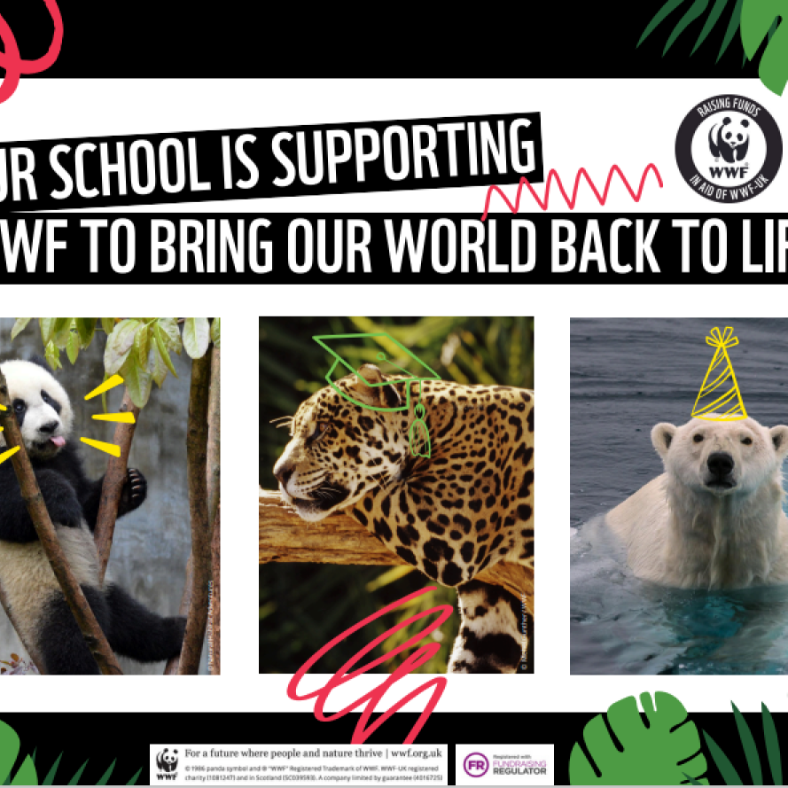 Fundraising at school | WWF