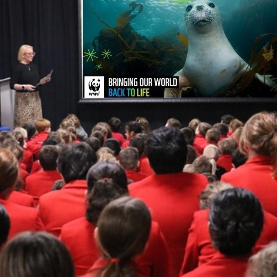 Fundraising at school | WWF