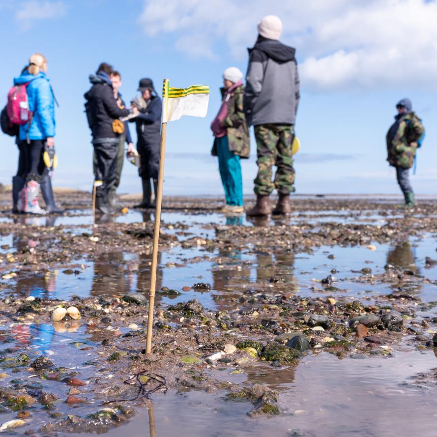 Restoration Forth | WWF