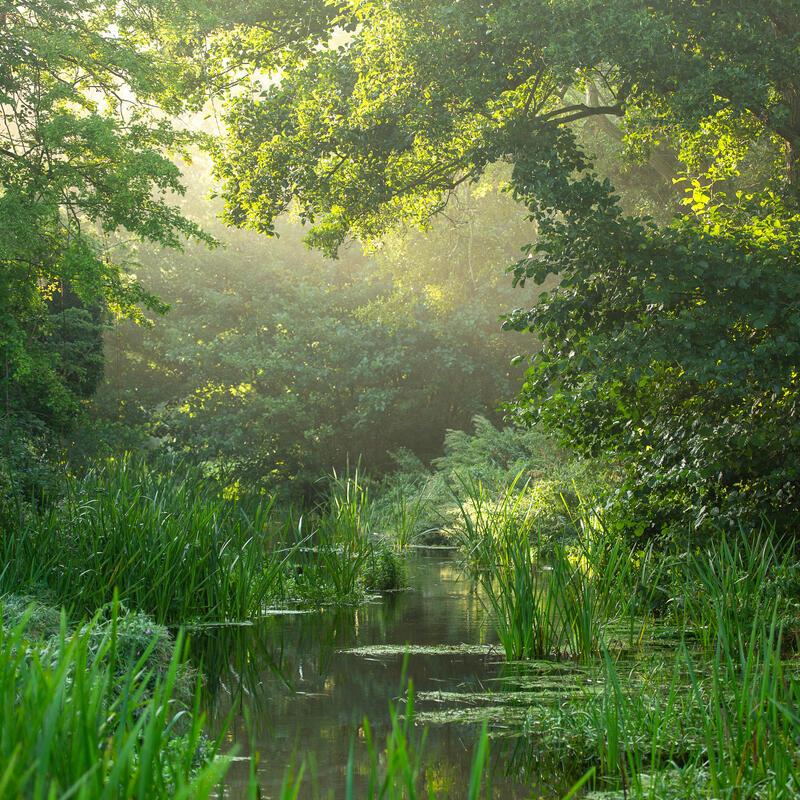 Find Wwf S Range Of Press Releases Here Wwf