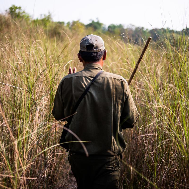 The snow leopard: elegant and elusive | WWF