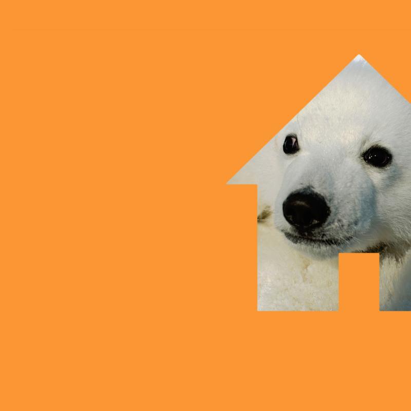 Why it's important that we value nature | WWF