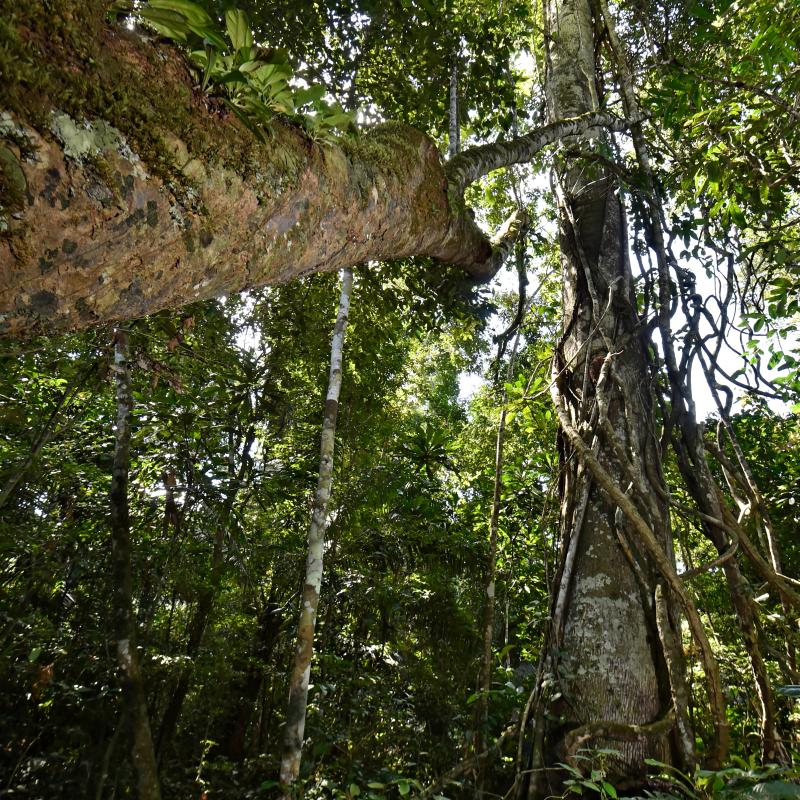 Why it's important that we value nature | WWF