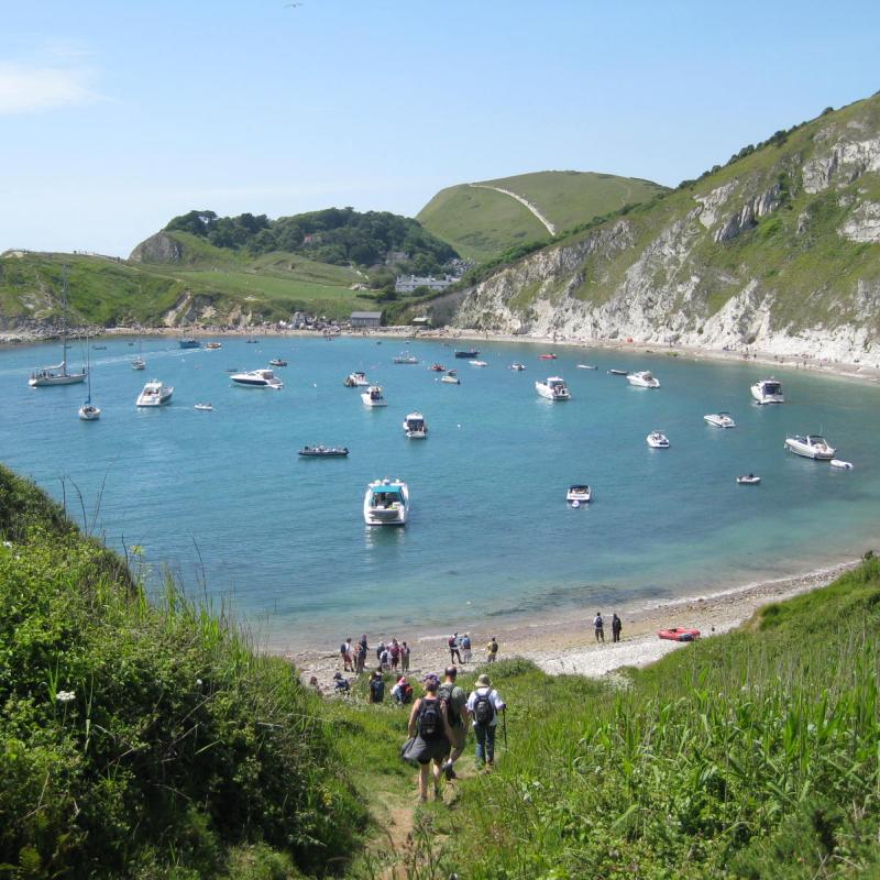 Walk for WWF in some of the UK's best walking events | WWF