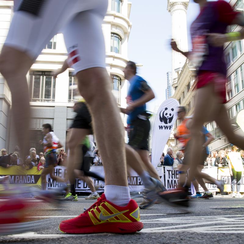 Join the race to save our world | WWF