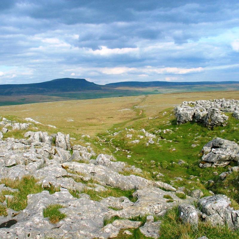 Walk for WWF in some of the UK's best walking events | WWF