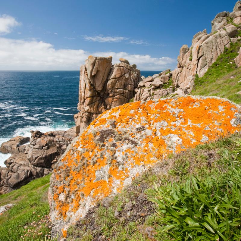 Floods and their effects | WWF