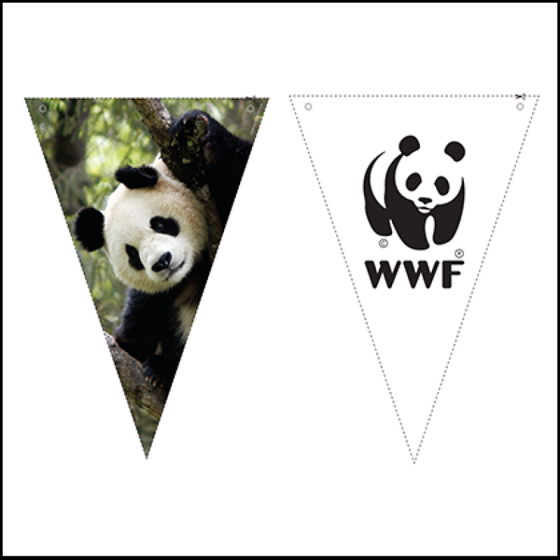 Fundraising resources for your next event | WWF