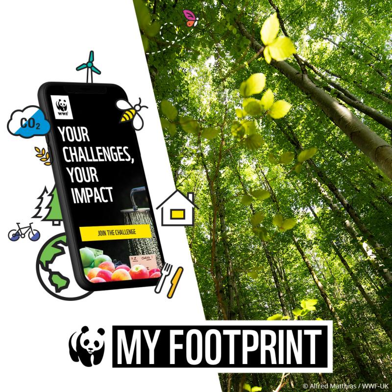 Act with WWF | WWF