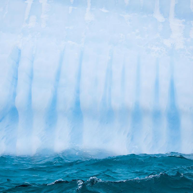 Oceans | WWF