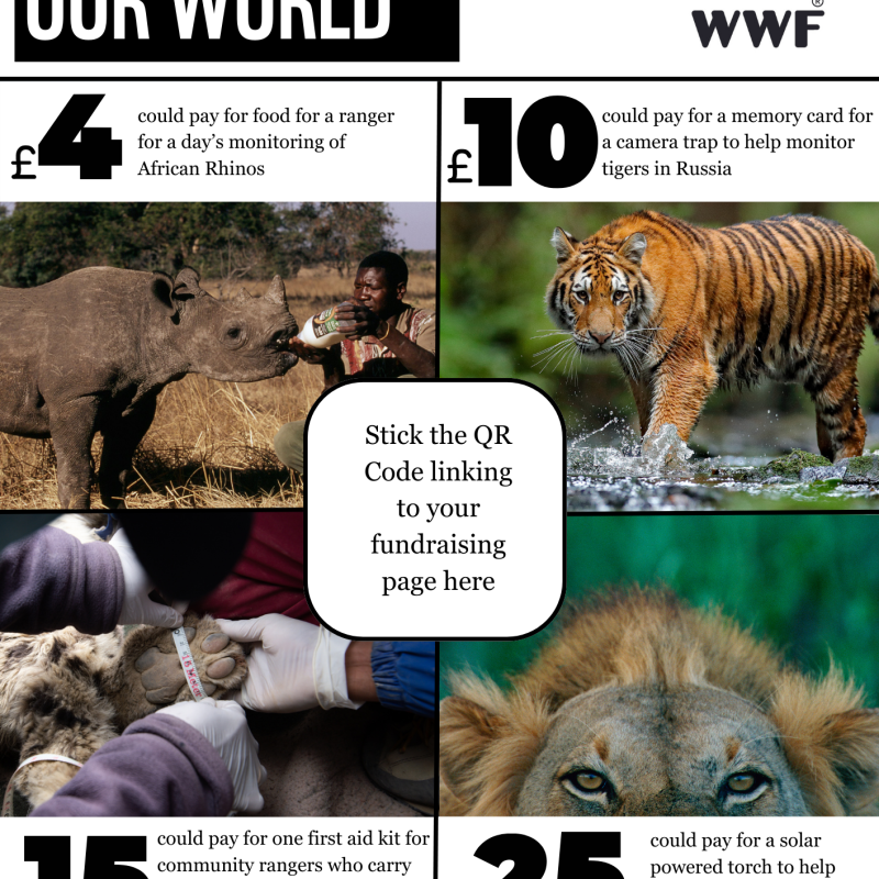 Fundraising resources for your next event | WWF