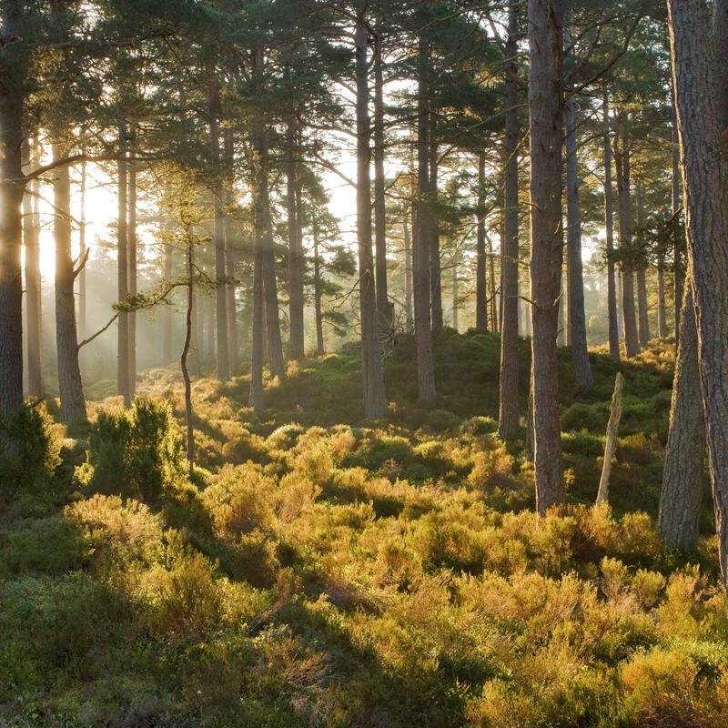 The Big Winter Wander | WWF