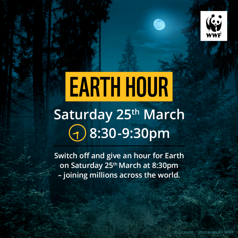 Earth Hour in Scotland - 25th March 2023 8.30 pm | WWF
