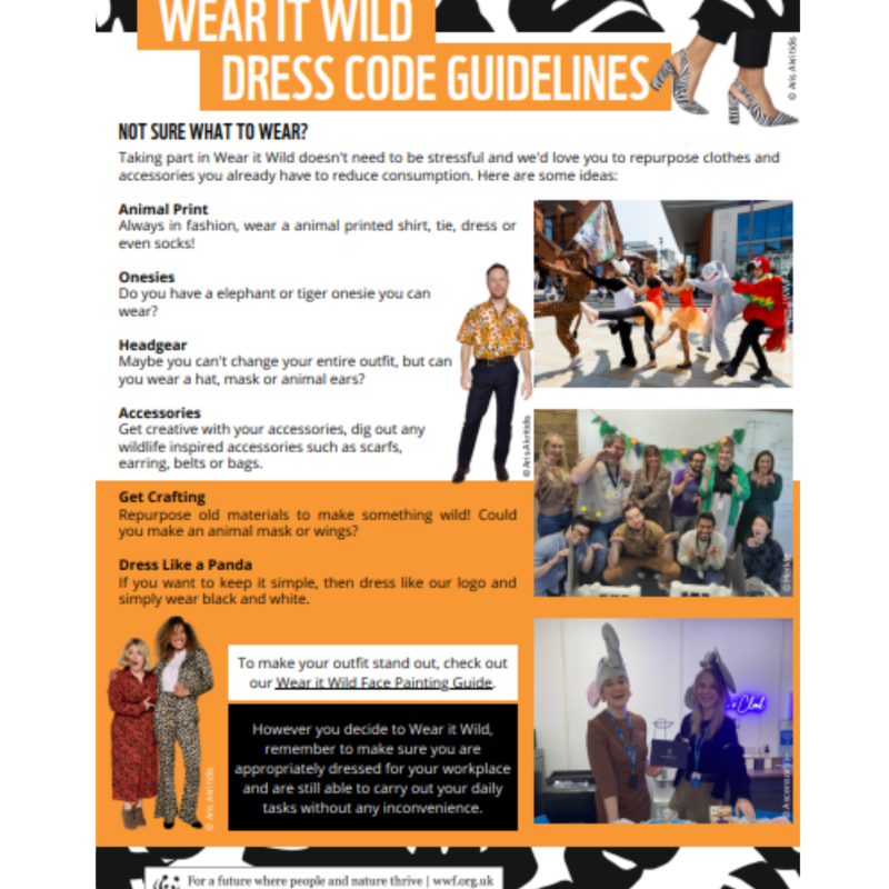 Wear it Wild: resources to make your event roarsome! | WWF