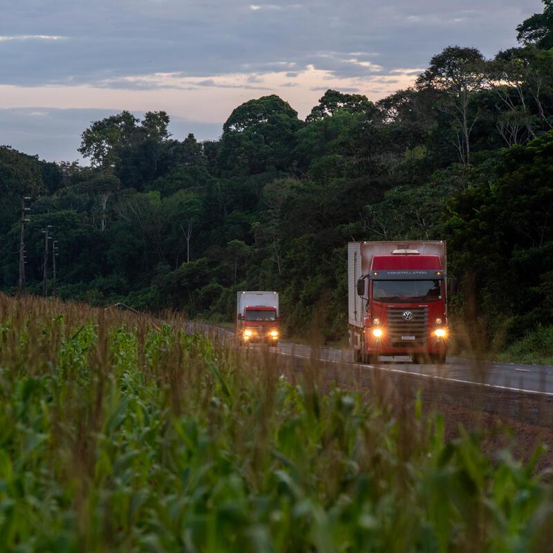 Forest Pathways Report | WWF