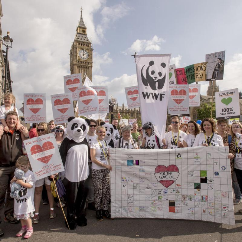 Earth Hour: small actions can make a big difference | WWF