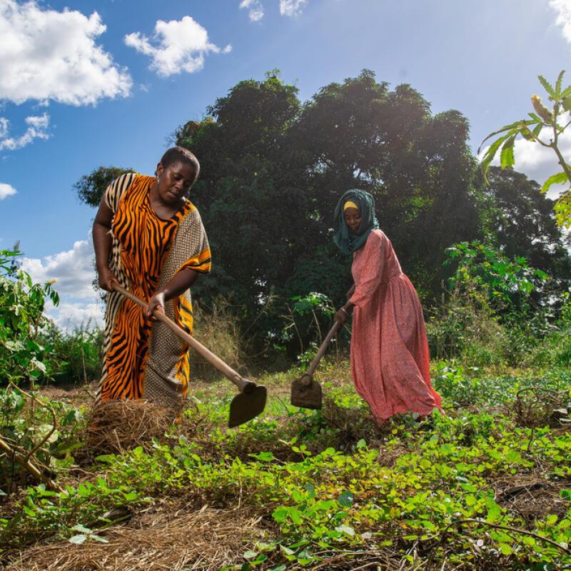 Tackling human-wildlife conflict in Ruvuma | WWF