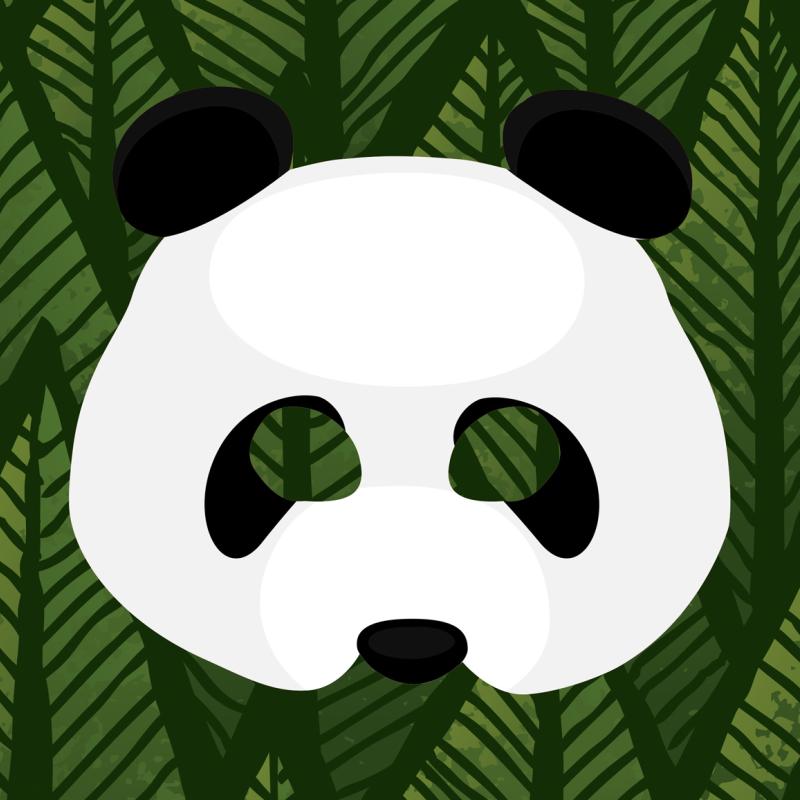 National Panda Day 2025 | WWF