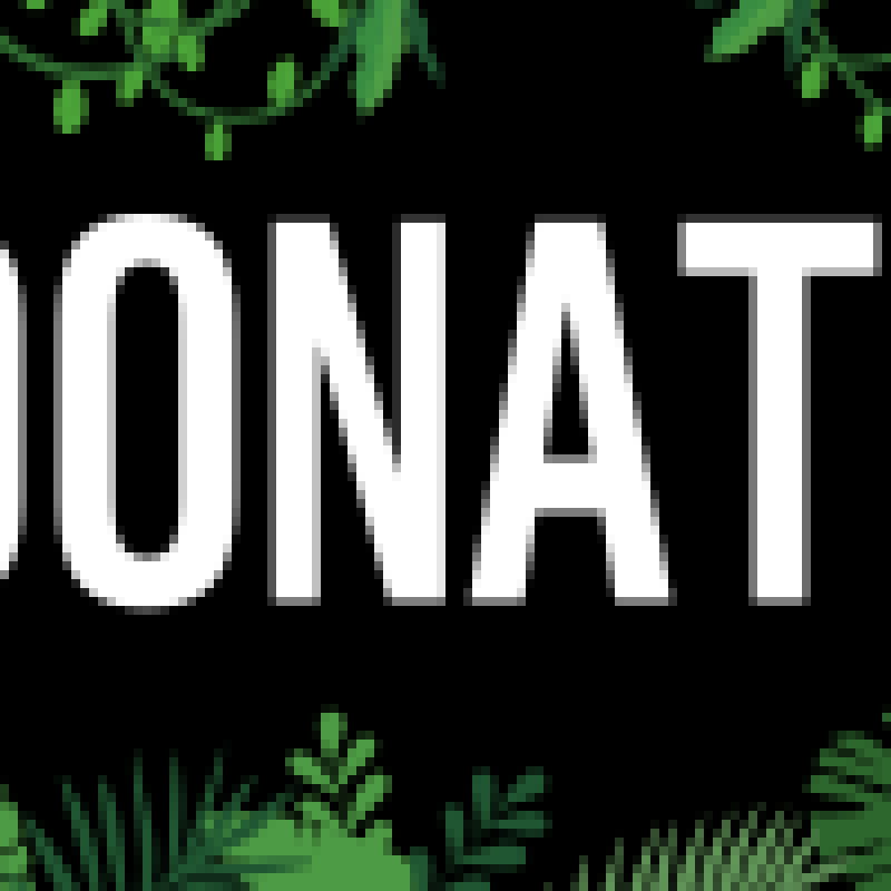 WWF livestream fundraising | WWF