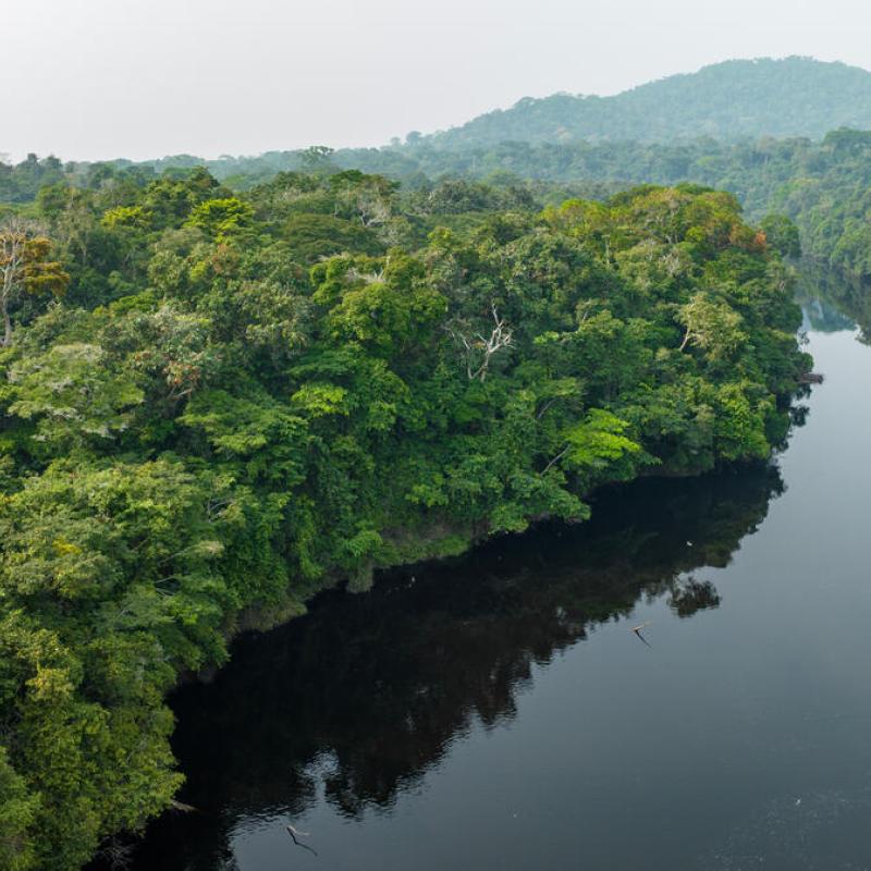 Nature Based Solutions Accelerator | WWF