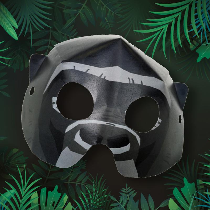 World Gorilla Day 2026 | WWF
