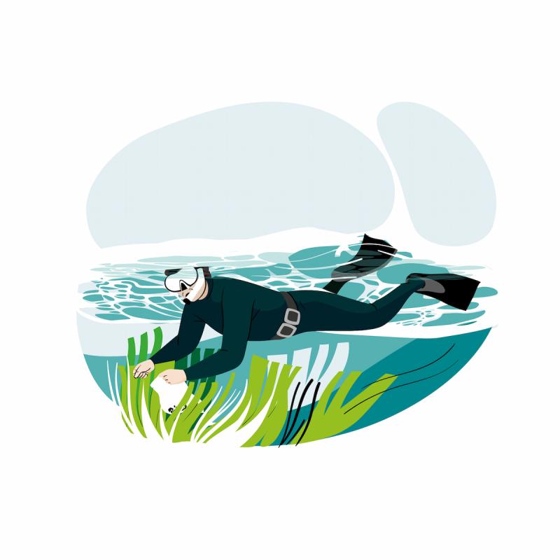 Restoration Forth: Our Story | WWF