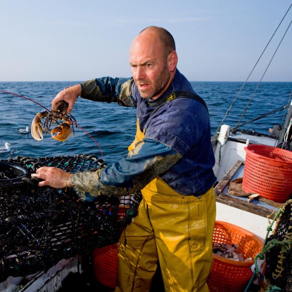 Supporting sustainable fishing practices | WWF