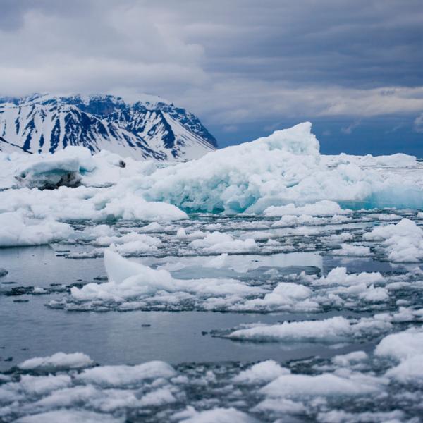 What are climate change and global warming? | WWF