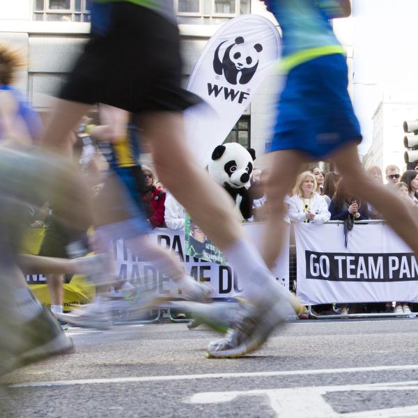 Join WWF on a Great Wild Walk | WWF