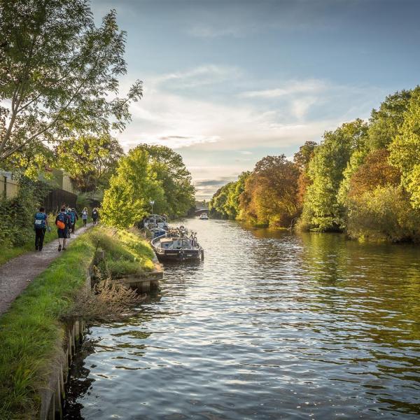 Walk for WWF in some of the UK's best walking events | WWF