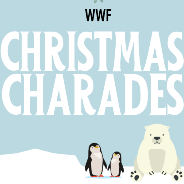 Christmas Fundraising | WWF