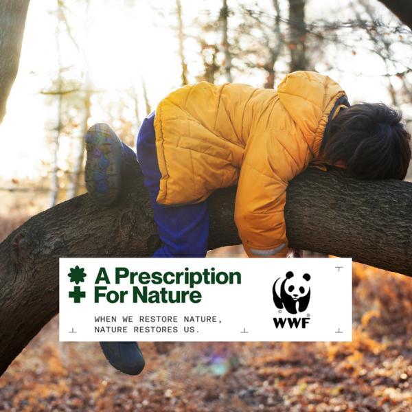 WWF's latest annual report | WWF