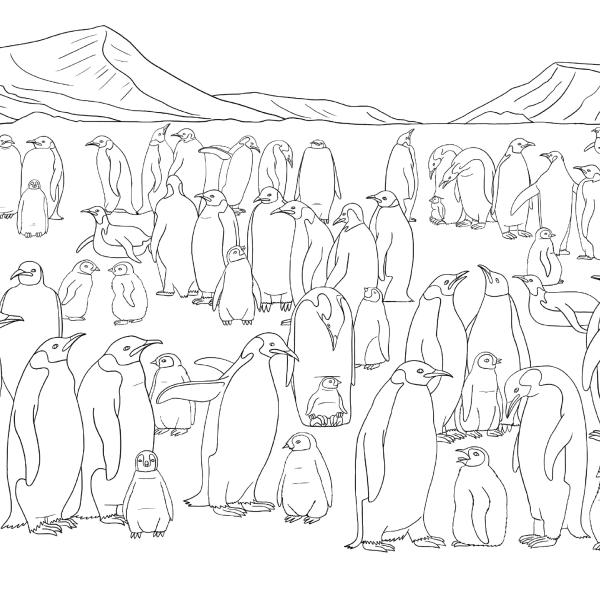 Penguin Awareness Day 2026 | WWF