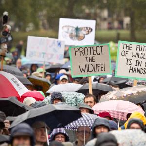 Sir David Attenborough calls for a New Deal For Nature | WWF