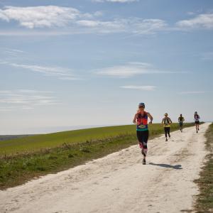 Run for WWF and join Team Panda | WWF