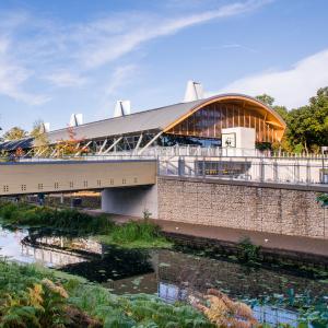 WWF UK's environmental policies | WWF