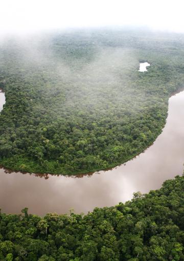 Amur (Heilong) River Basin | WWF