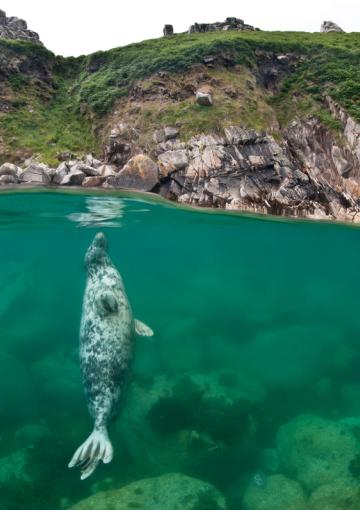 Special Events | WWF